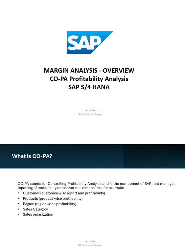 SAP Margin Analysis Overview | PDF