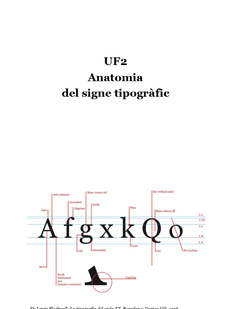 Anatomia de Las Letras | PDF