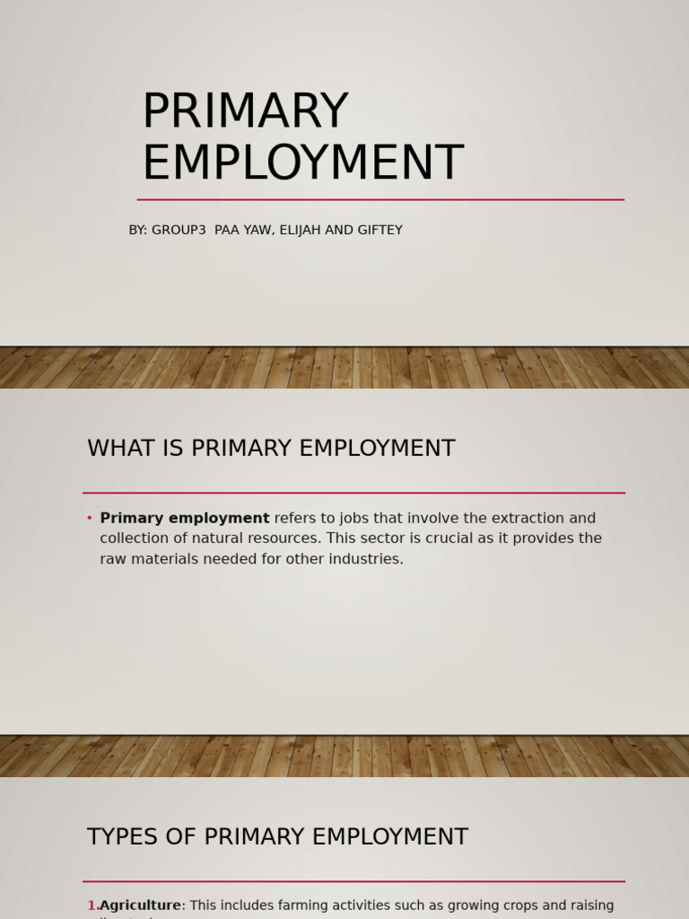 Primary Employment | PDF