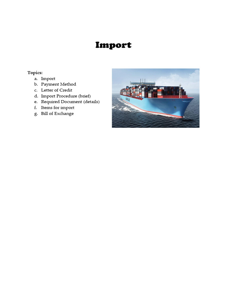 Import Lecture Report | PDF