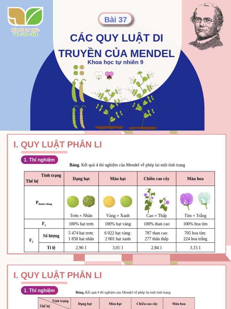 Bai 37 Cac Quy Luat Di Truyen Cua Mendel | PDF
