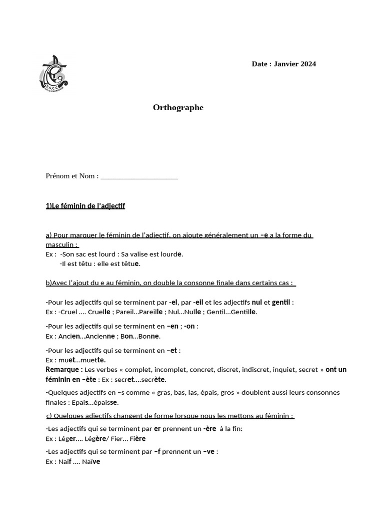 L'accord de L'adjectif | PDF