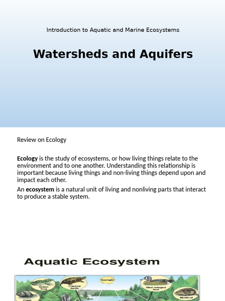 Introduction To Aquatic and Marine Ecosystems | PDF