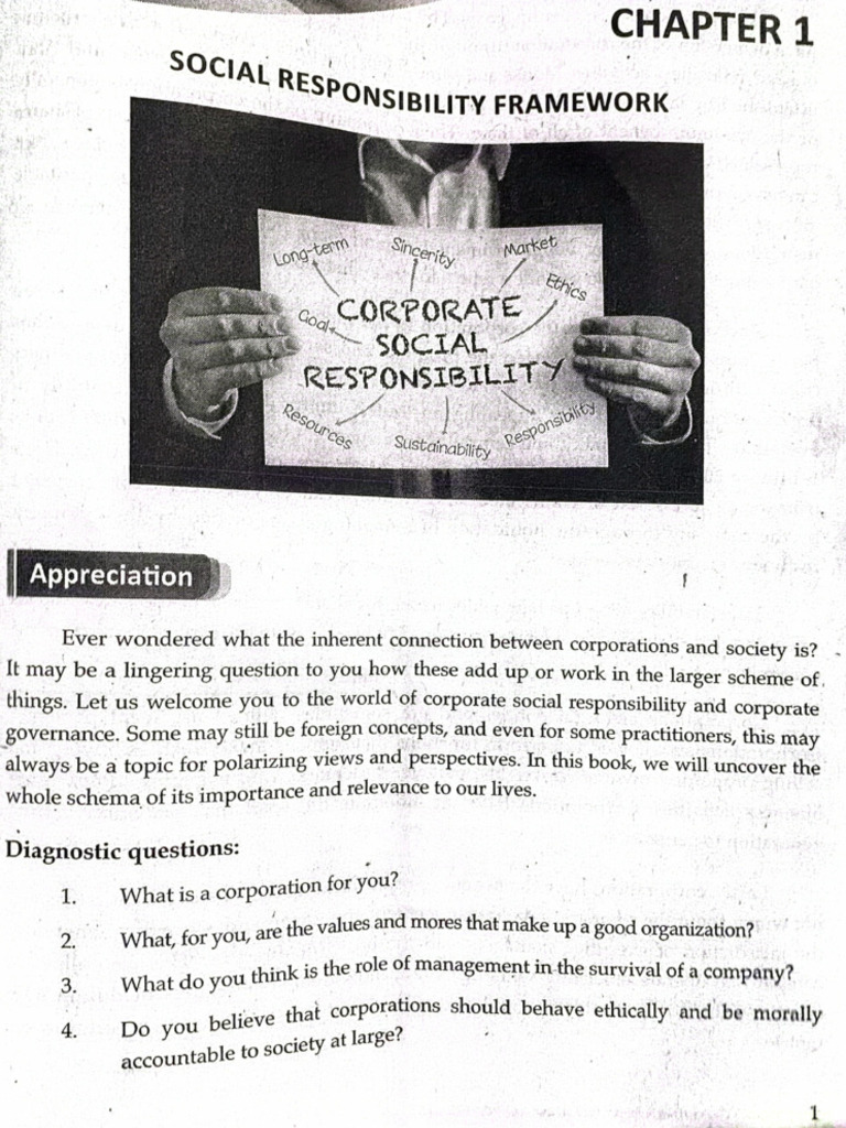 Chap 1 Social Responsibility Frame Work | PDF