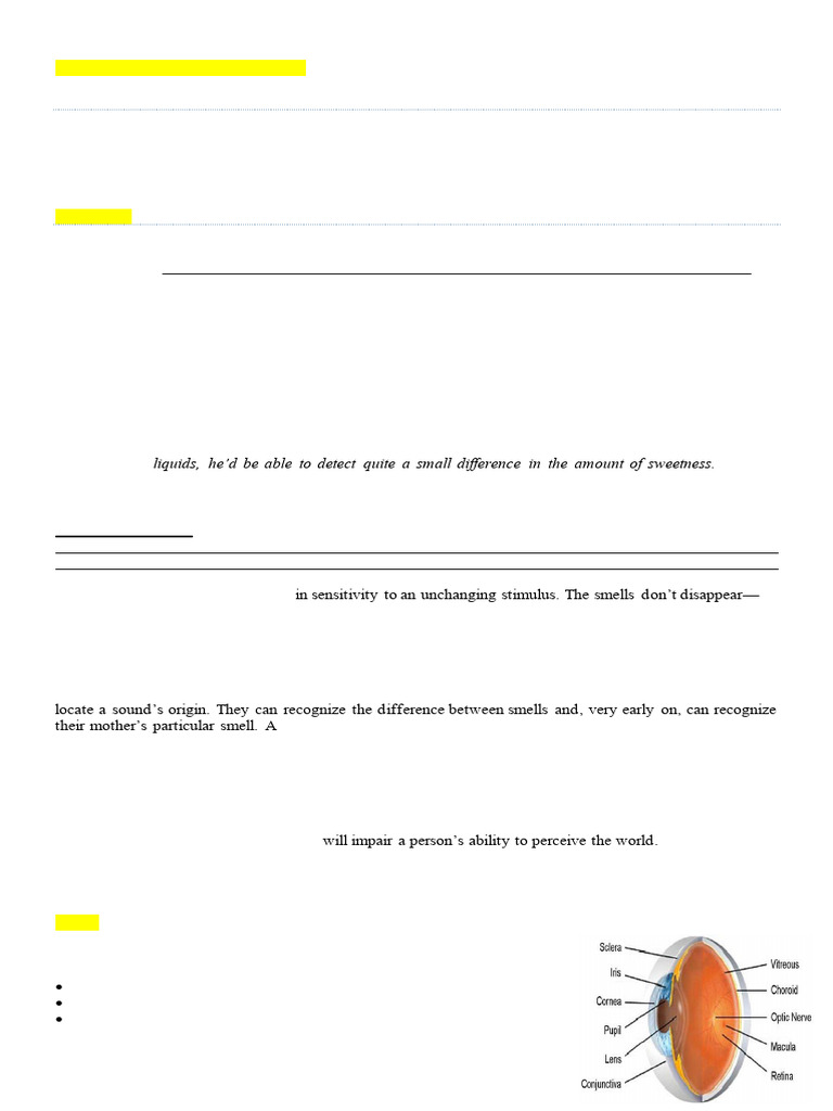 Lesson 5 Sensation and Perception Handouts-1 | PDF