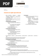 Anatomia da Região Inguinal | PDF | Anatomia