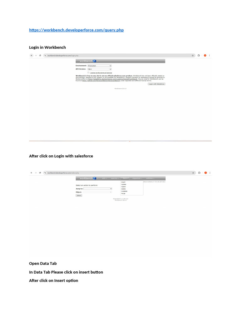 Salesforce Insert Option Pdf