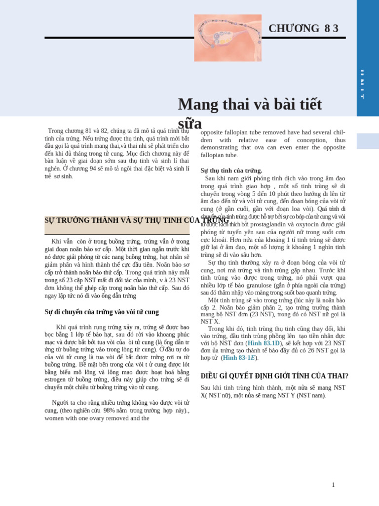 CHƯƠNG 83 (Chua Xong) | PDF