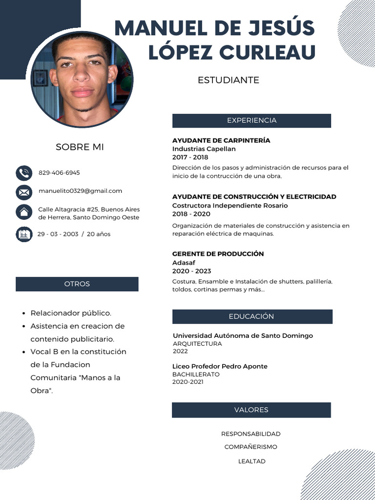 CV Manuel | PDF