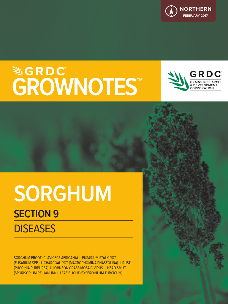 GrowNote Sorghum North 09 Diseases | PDF