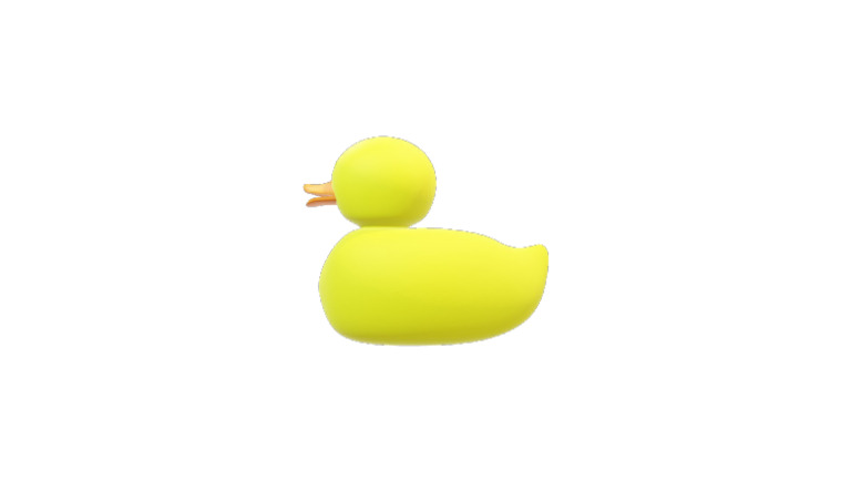 Duck | PDF