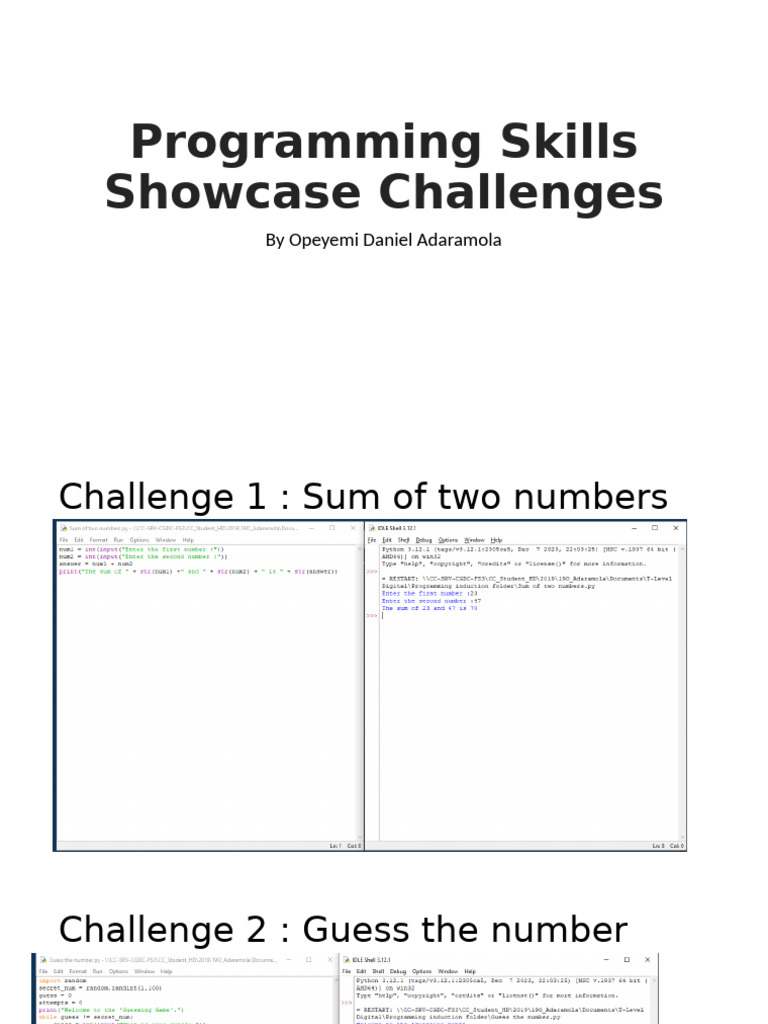 Programming Skills Showcase Challenges | PDF