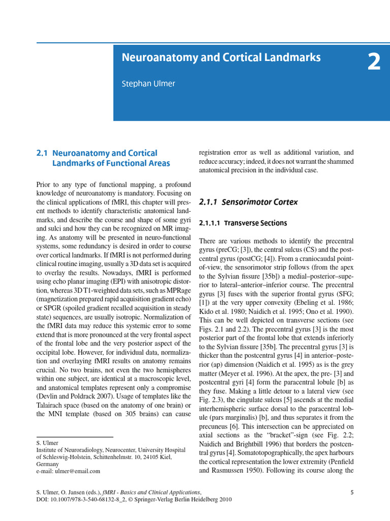 Neuroanatomy and Landmarks | PDF