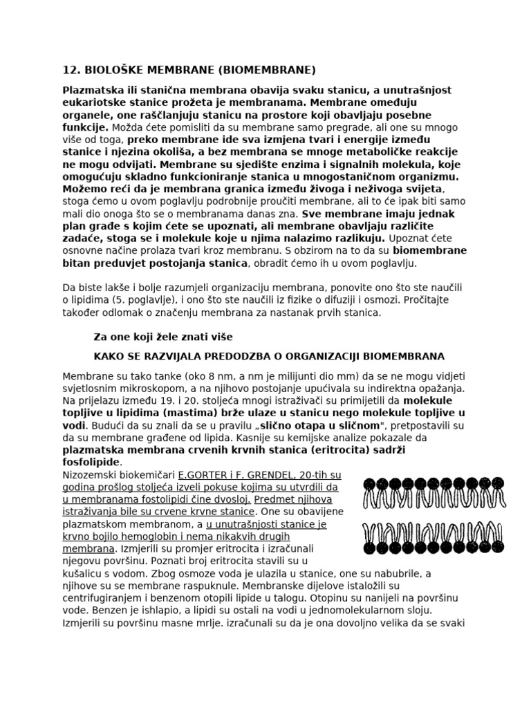 Biologija - Lekcija 12 - Biološke Membrane (Biomembrane) | PDF