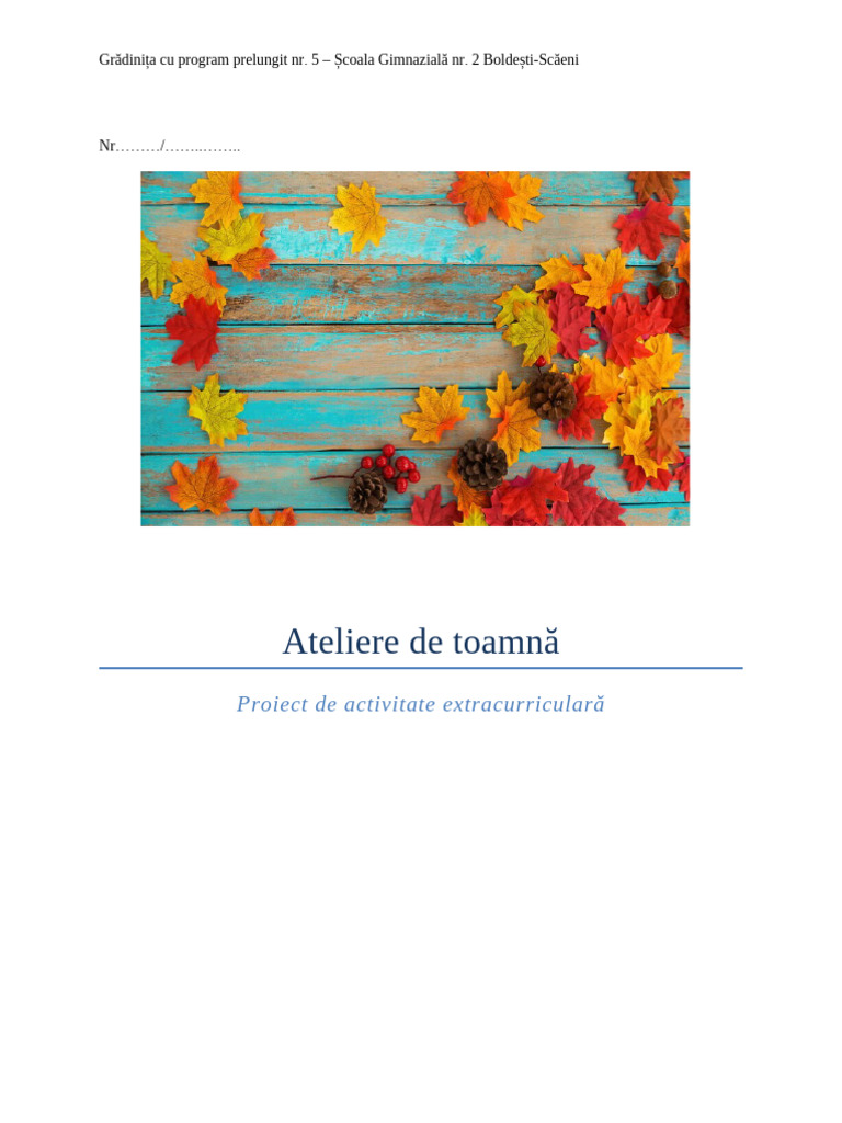 Proiect Extracurricular | PDF