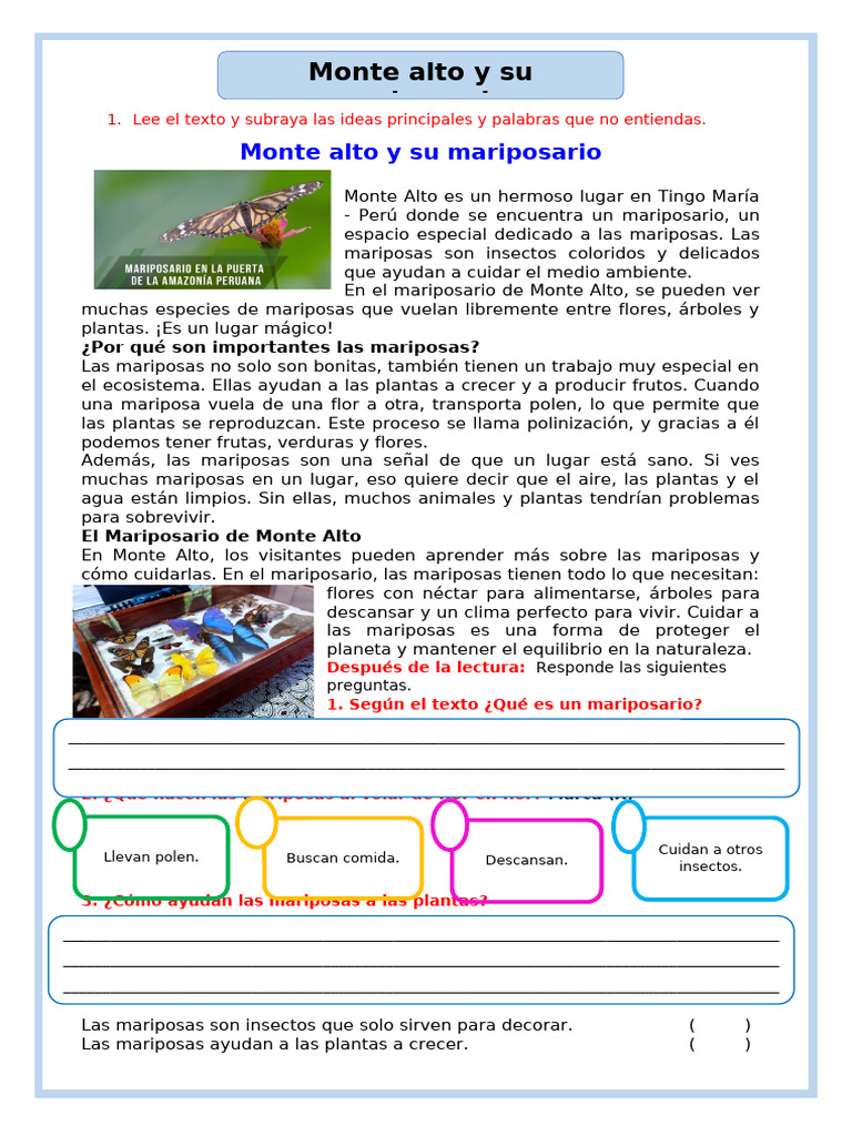 Dia 04 Ficha de Trabajo - Plan Lector | PDF