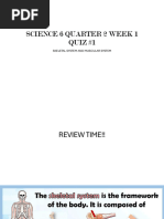 Human Skeletal System Quiz Worksheet | PDF | Skeleton | Bone