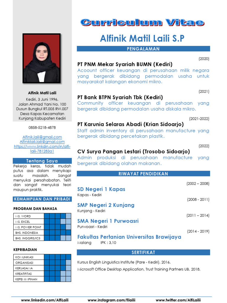 CV Alfi | PDF