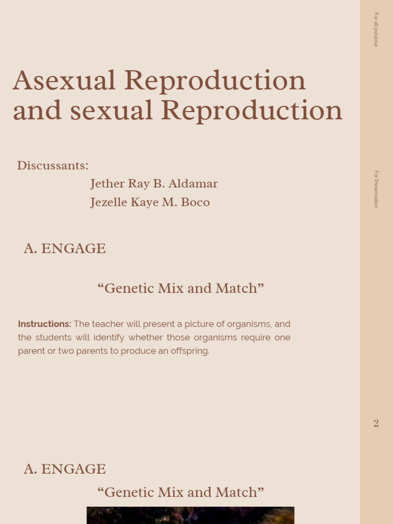 Brown Monochrome Simple Minimalist Presentation Template | PDF