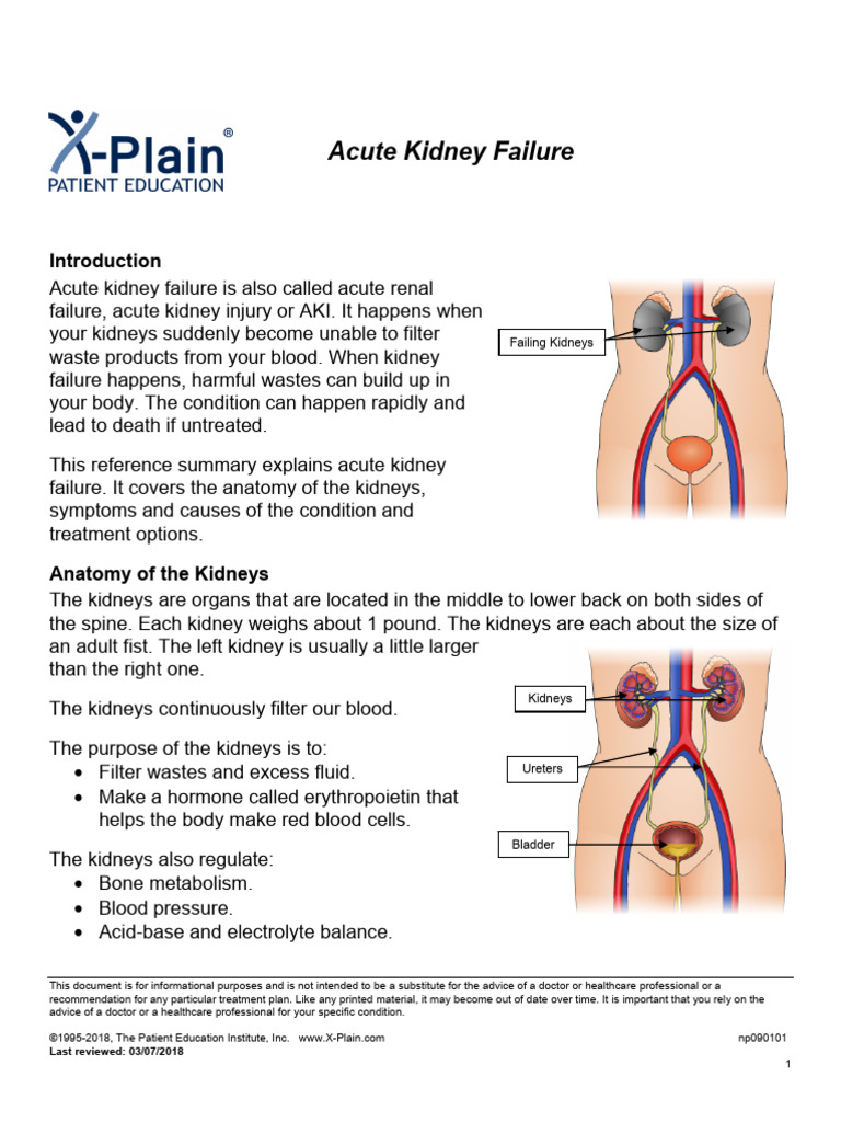 Acute Kidney Failure | PDF