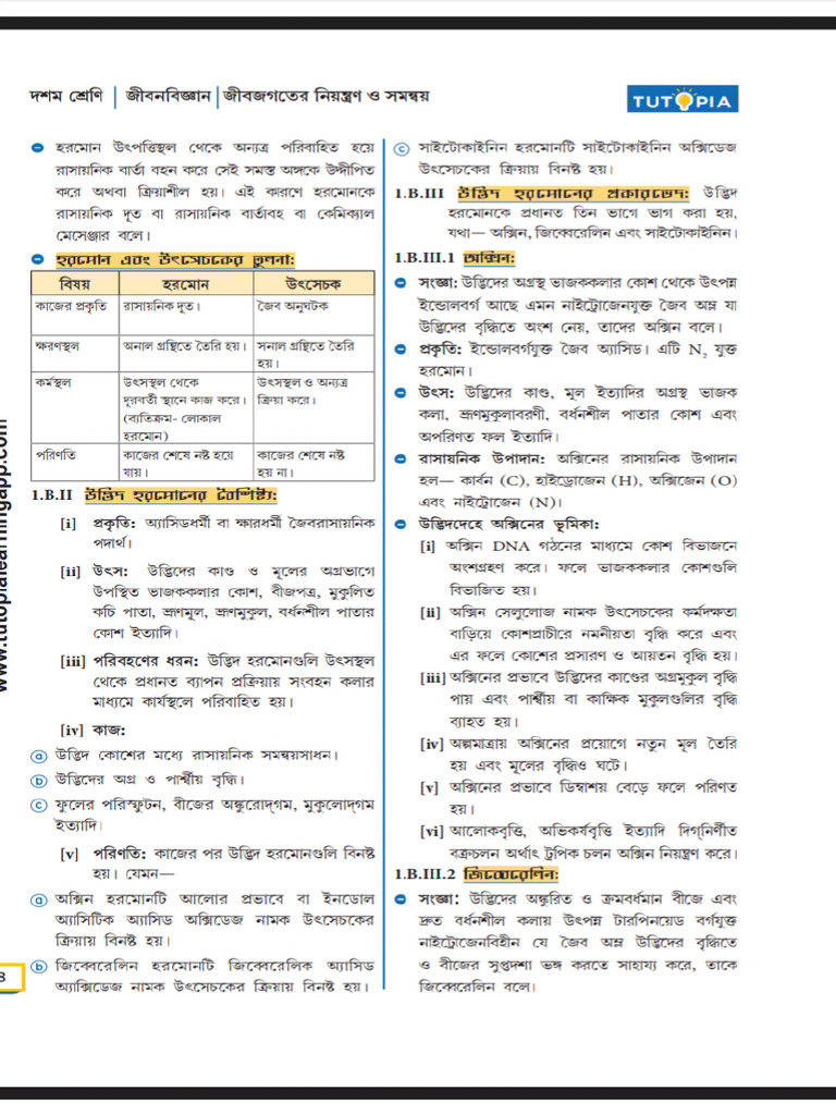 Document-WPS Office 7 | PDF