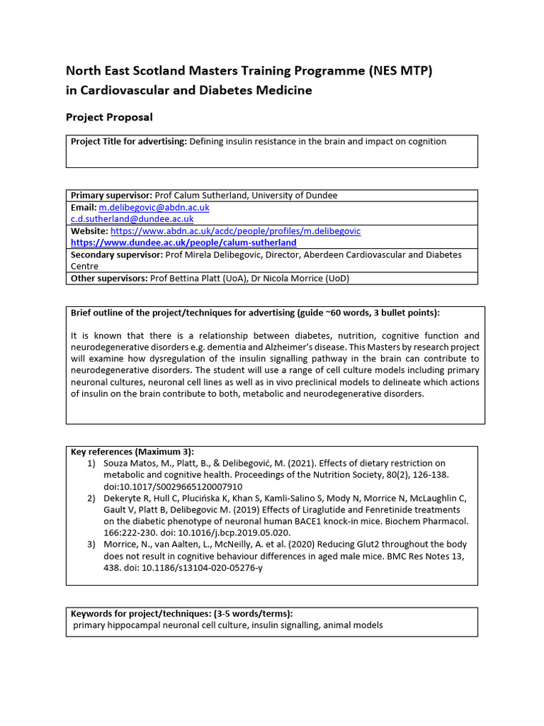 Project 5 proforma NES MTP_Project-Outline Mirela Calum | PDF