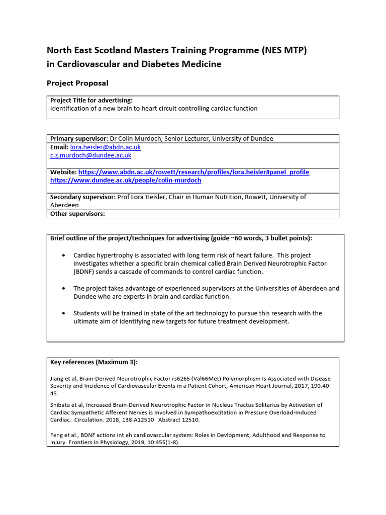 Project 4 Heisler Murdoch Proforma NES MTP - Project-Outline | PDF