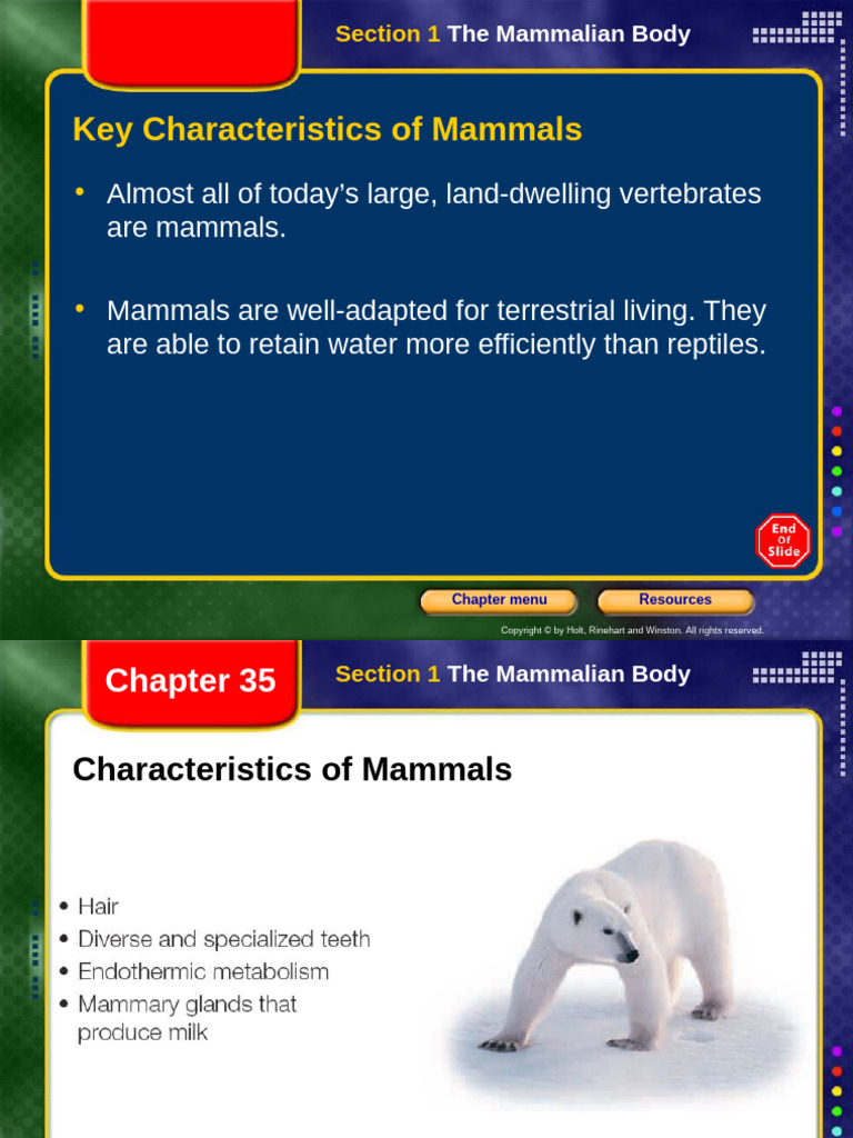 Mammals | PDF