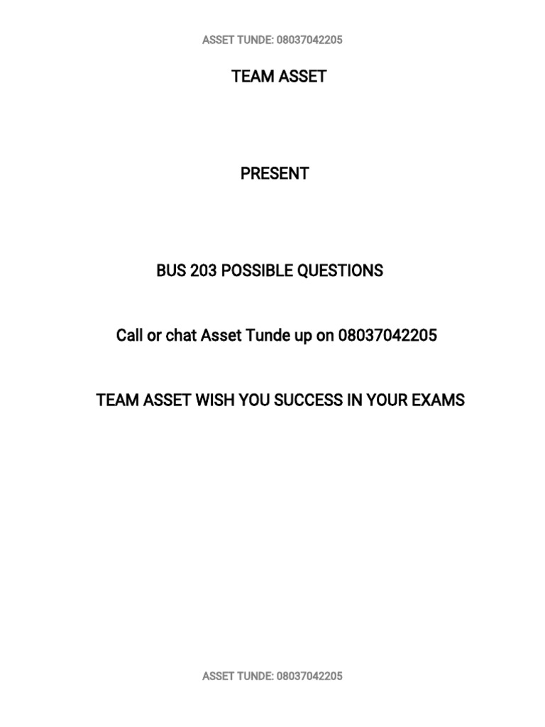 Bus 203 Team Asset | PDF