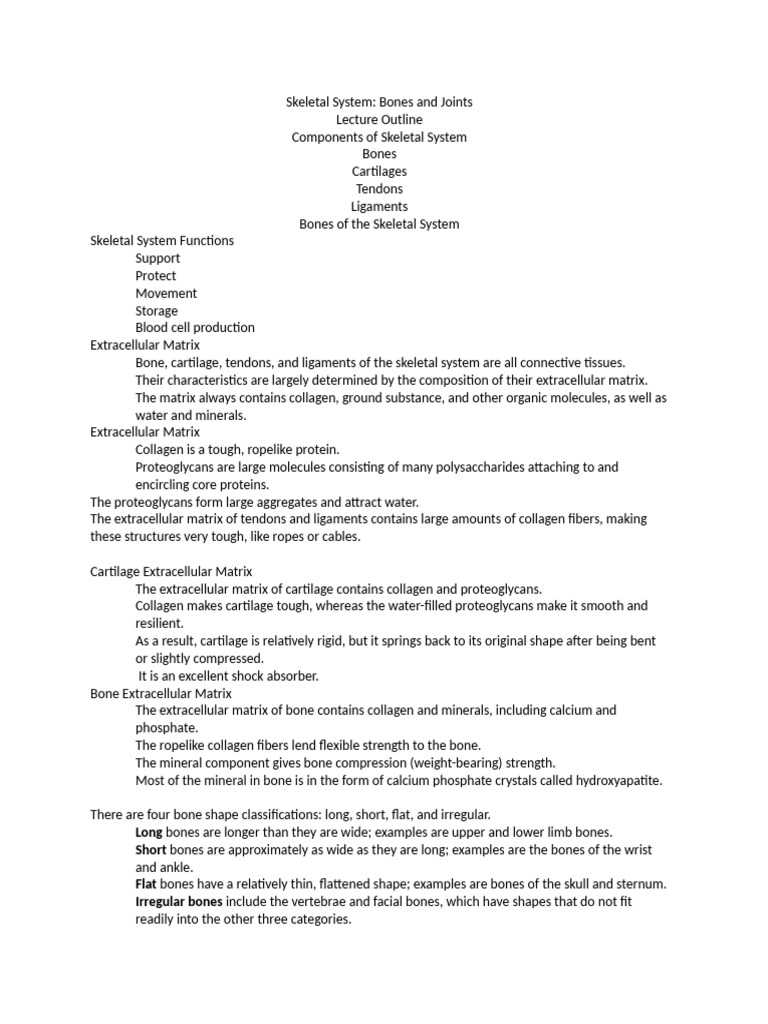 Overview of the Skeletal System | PDF | Bone | Vertebral Column