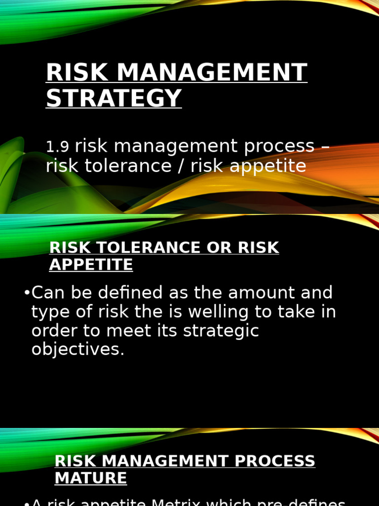 Risk Management Strategy | PDF