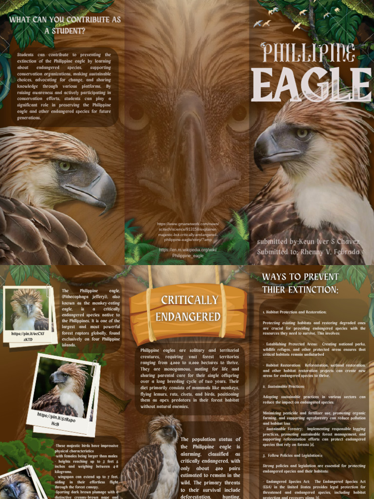 Brown Minimalist Italy Tour Trifold Brochure - 20240908 - 174558 - 0000 ...