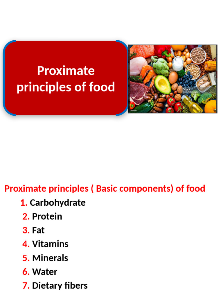 Proximate Principles of Food 2023 | PDF