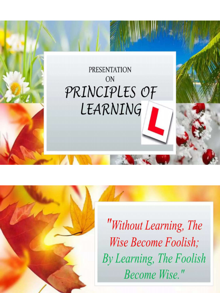 PRINCIPLES OF LEARNING | PDF