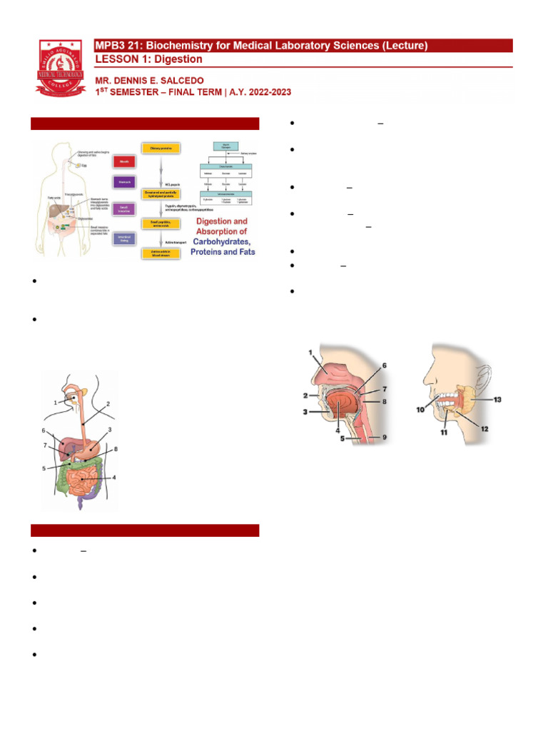 (Finals) Biochem Lectures | PDF