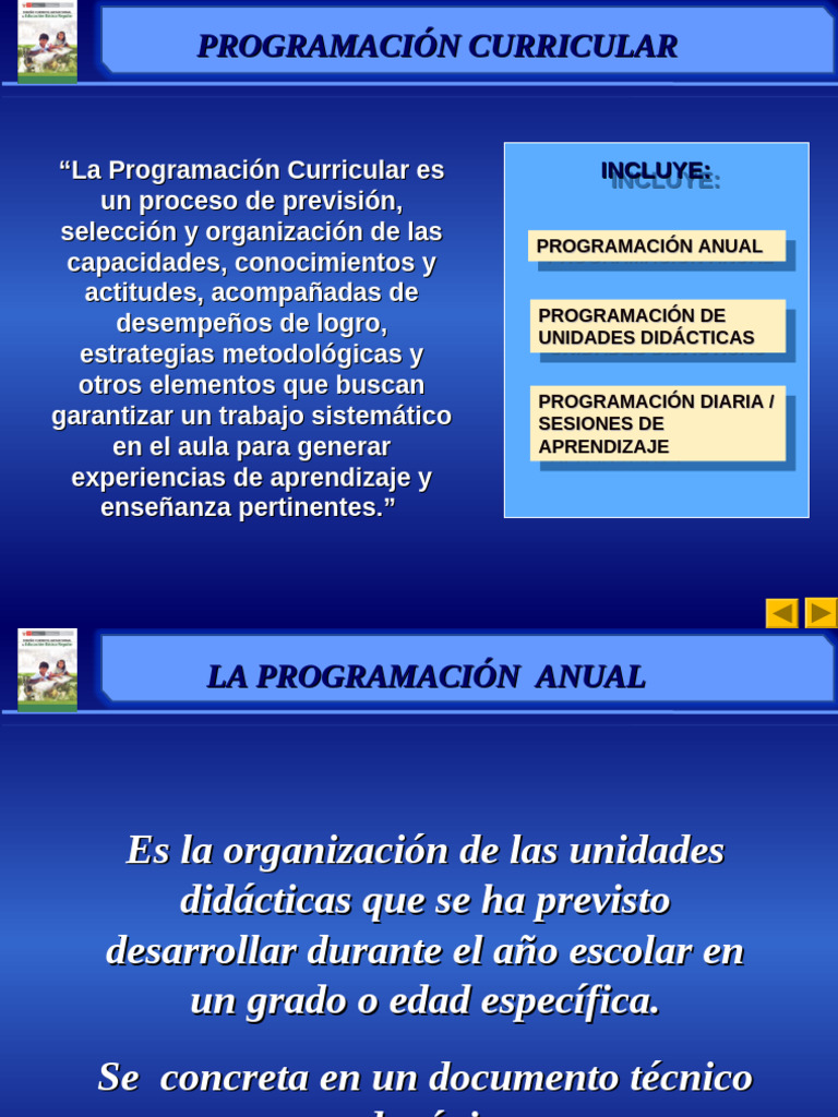 Programación Curricular | PDF
