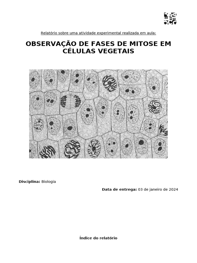 Fases da Mitose em Células Vegetais | PDF | Mitose | Célula (Biologia)
