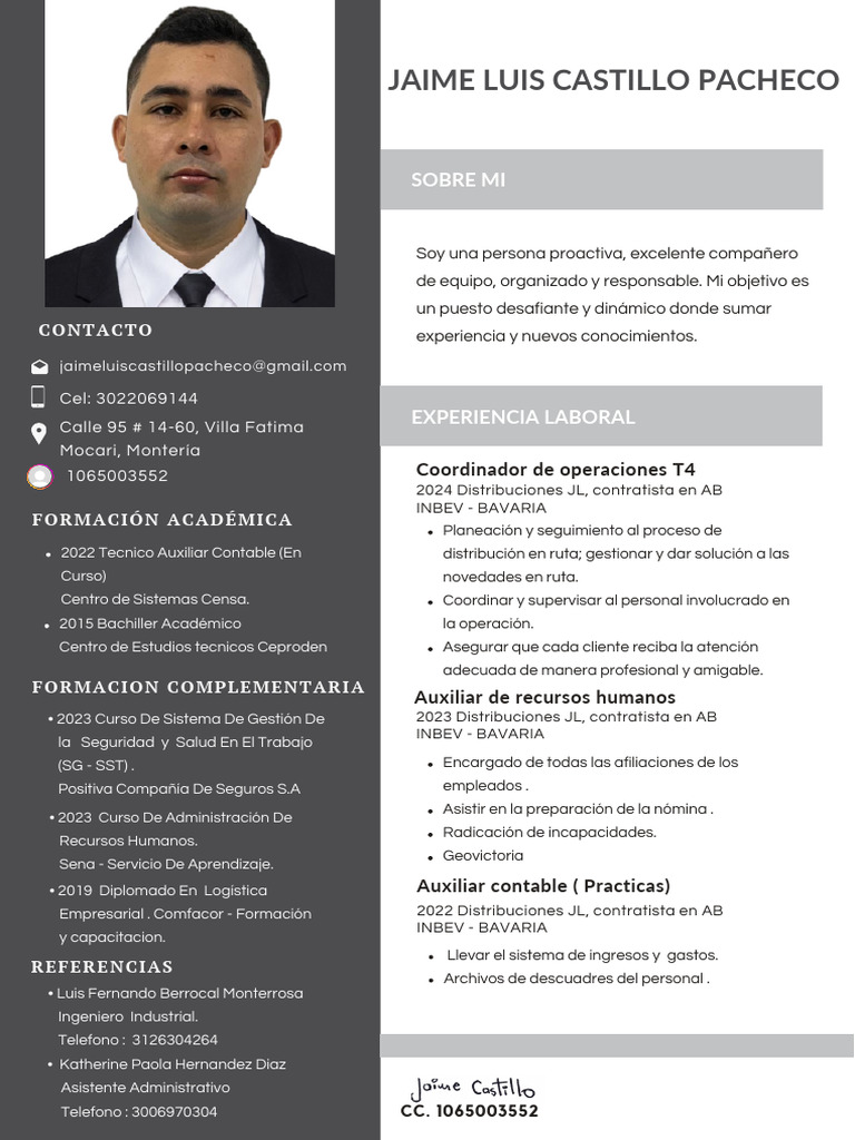 CV - Jaime Luis - Castillo Pacheco | PDF