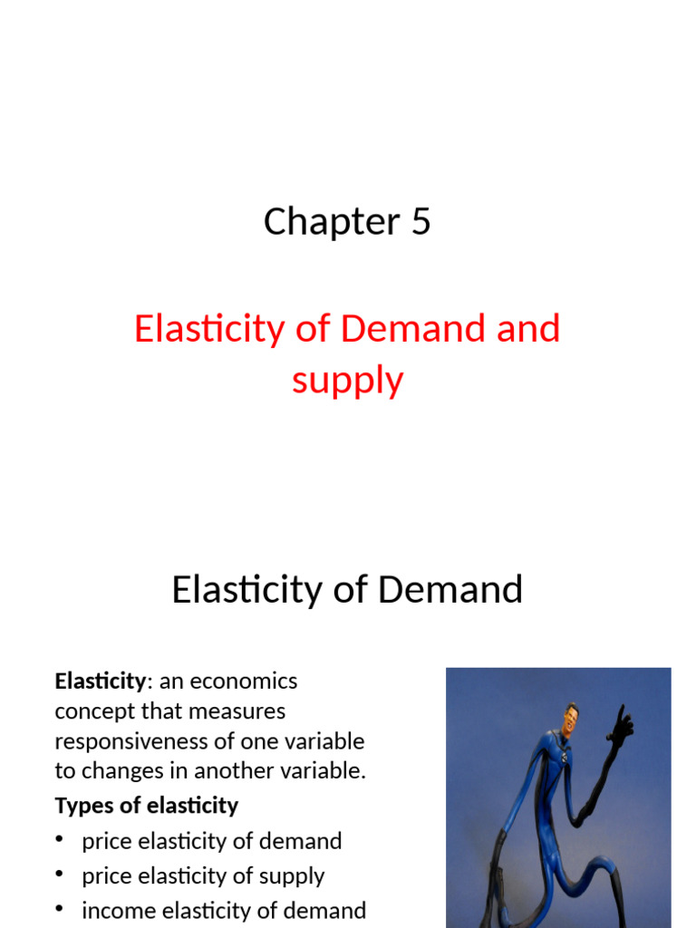 Chapter 5 Elasticity | PDF