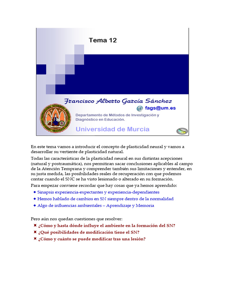 2c Plasticidad Natural | PDF