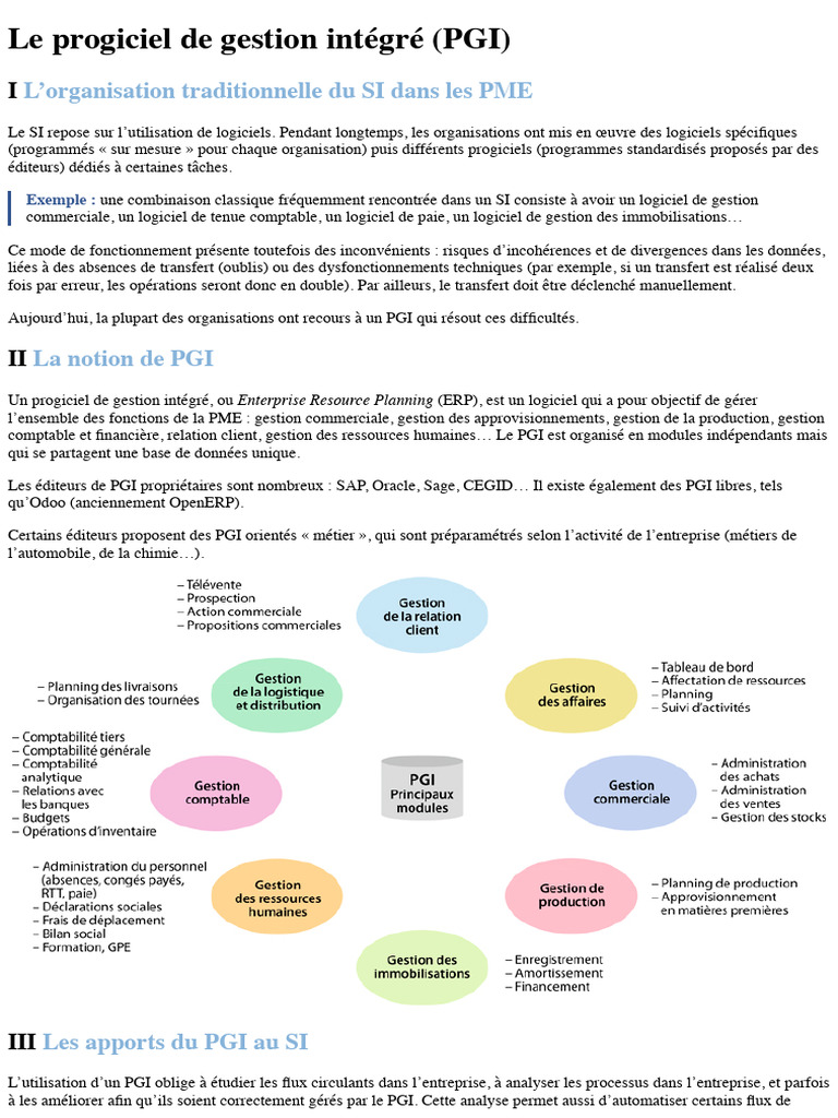 Fiche Ressource 5 - Le Progiciel de Gestion Intégré (PGI) | PDF