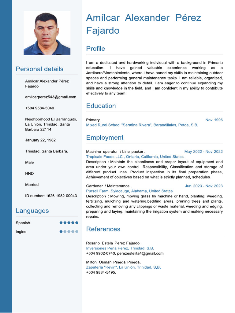 CV Amilcar Alexander | PDF