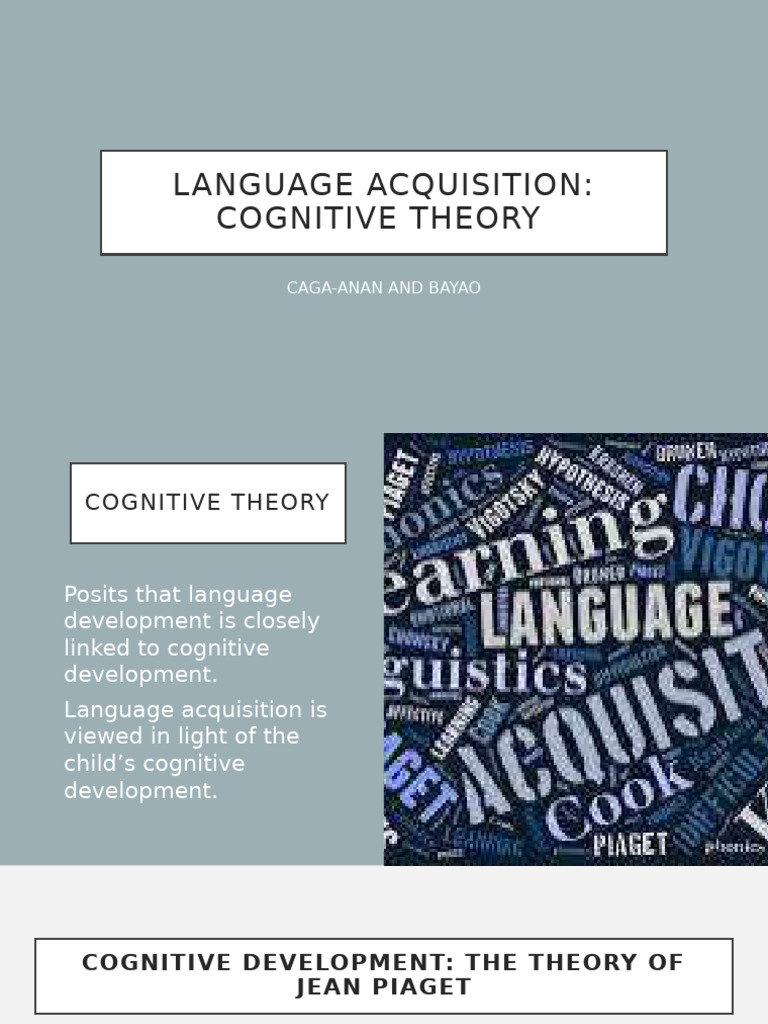 Cognitive Development | PDF