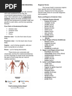 Vital Points and Weak Areas of the Body | PDF | Human Nose | Neck