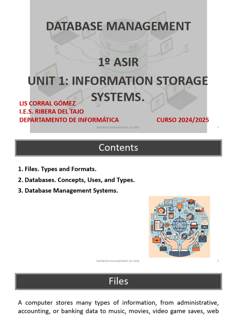 Tema1_SistemasDeAlmacenamientoDeLaIformación | PDF