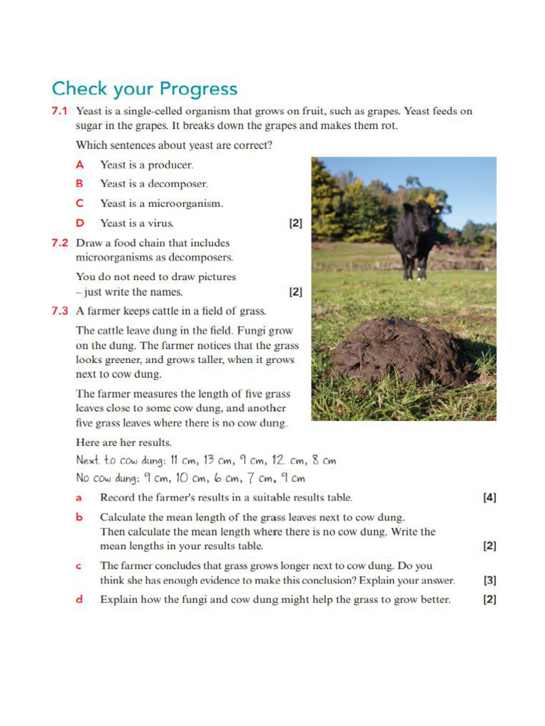 Unit 7 Check Your Progress | PDF