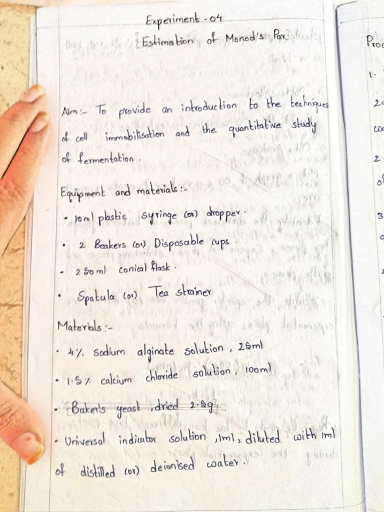 BPE Immobilization Experiment | PDF