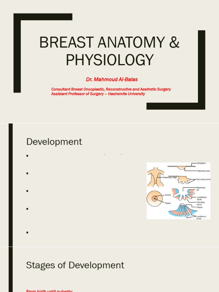 1 Breast Anatomy | PDF
