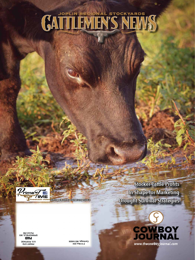 CATN Sept18 WEB | PDF