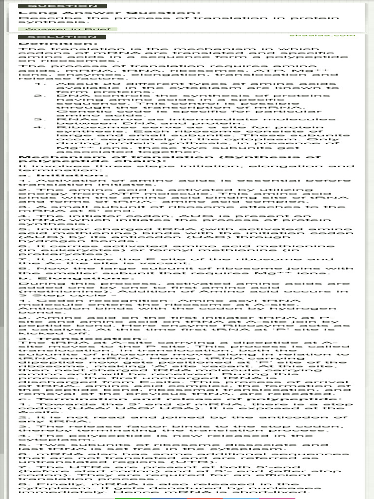 Long Answer Question Describe The Process of Translation in Protein ...